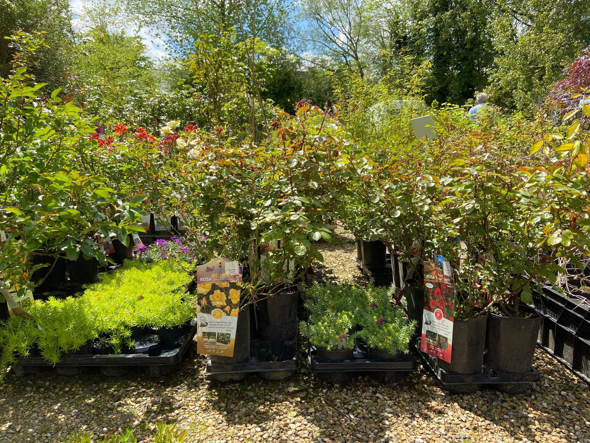 Grange Farm Garden Centre